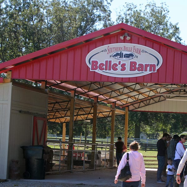 Fall on the Farm – Southern Belle Farm