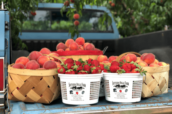 News From the Farm – Southern Belle Farm