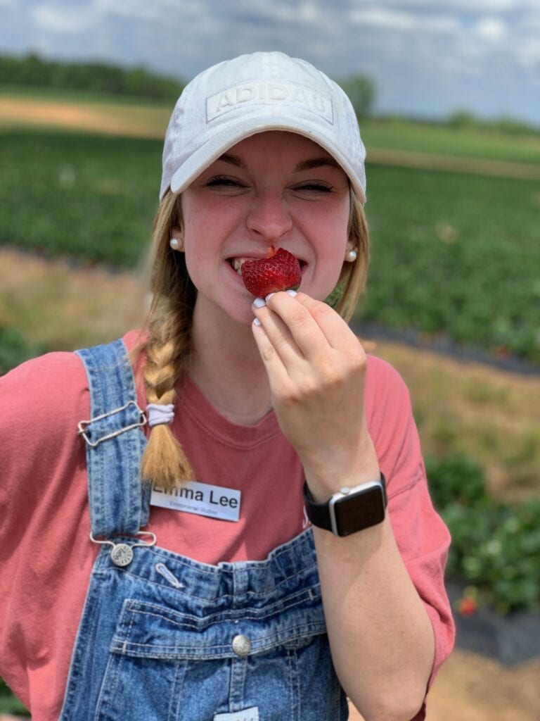 Spring on the Farm – Southern Belle Farm