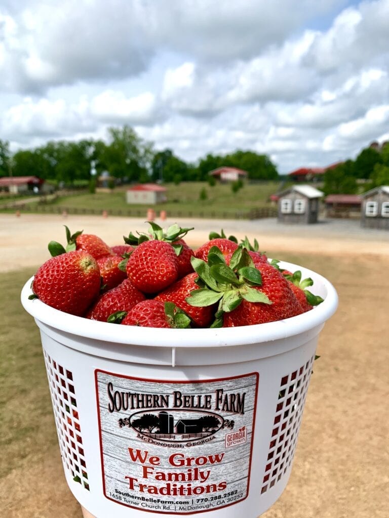 Spring on the Farm – Southern Belle Farm