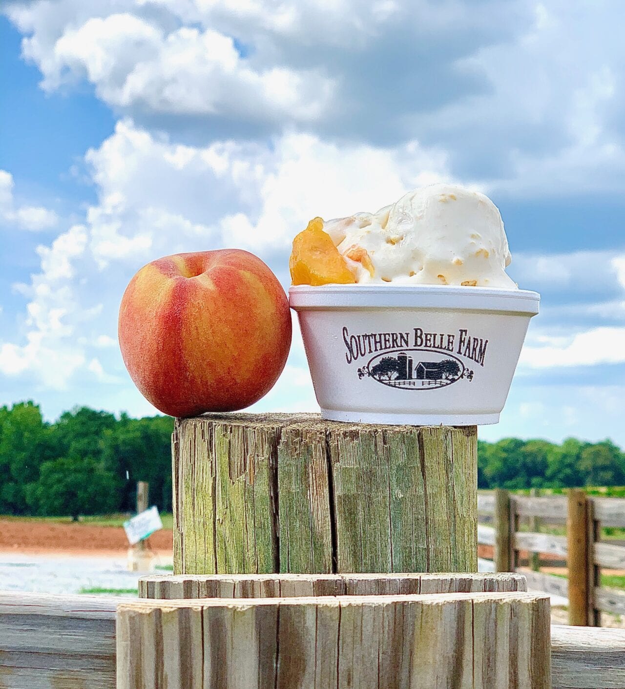Summer on the Farm – Southern Belle Farm