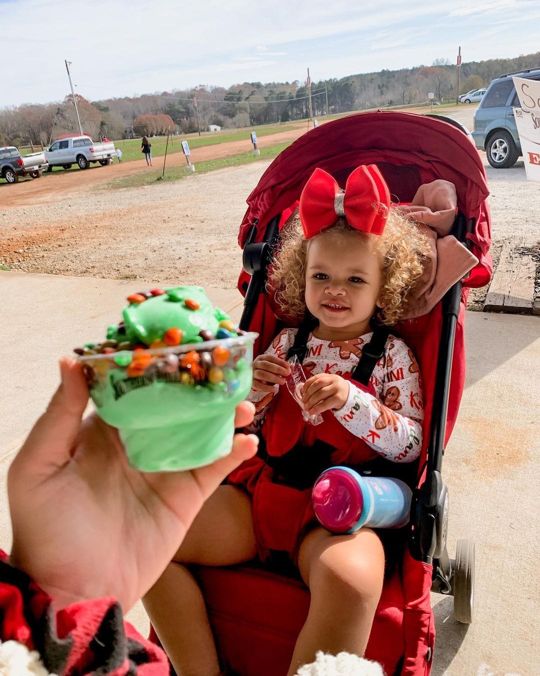 See You This Spring for U-Pick Strawberries! – Southern Belle Farm