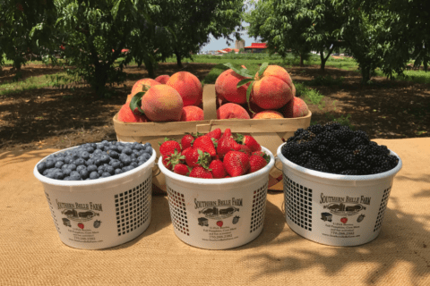 News From the Farm – Southern Belle Farm