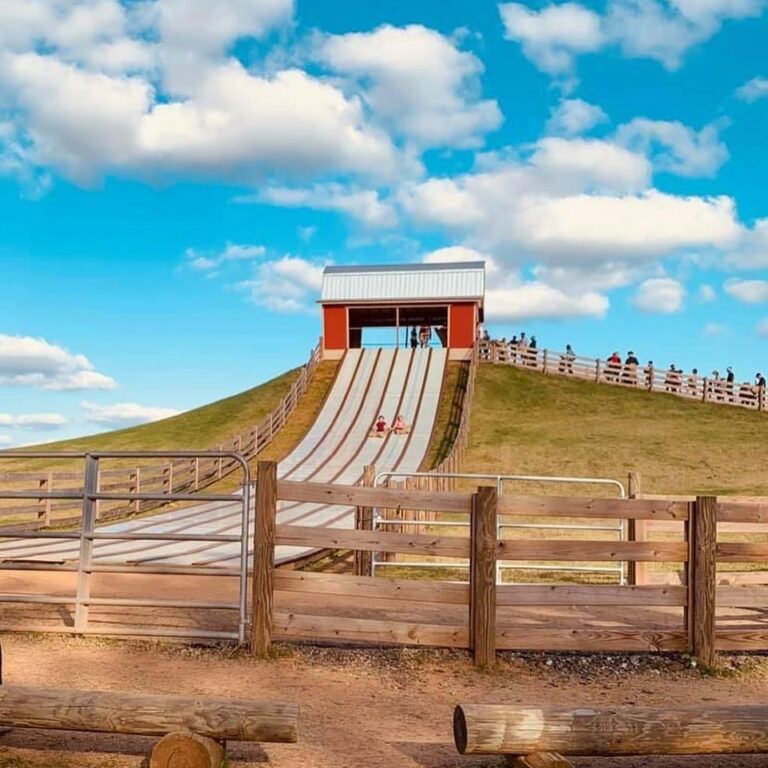 Spring on the Farm – Southern Belle Farm