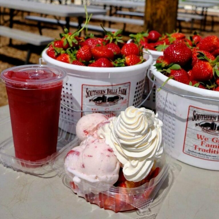 Spring on the Farm – Southern Belle Farm