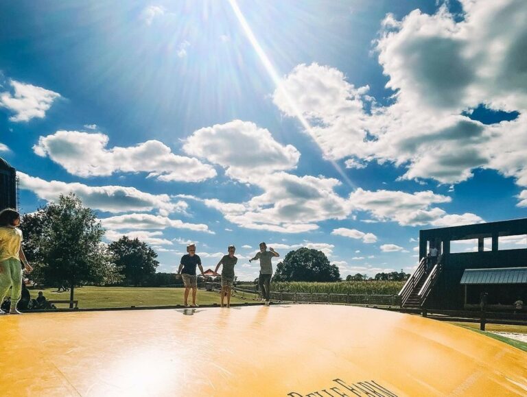 Tickets Available NOW for Fall Fun at Southern Belle Farm! – Southern ...