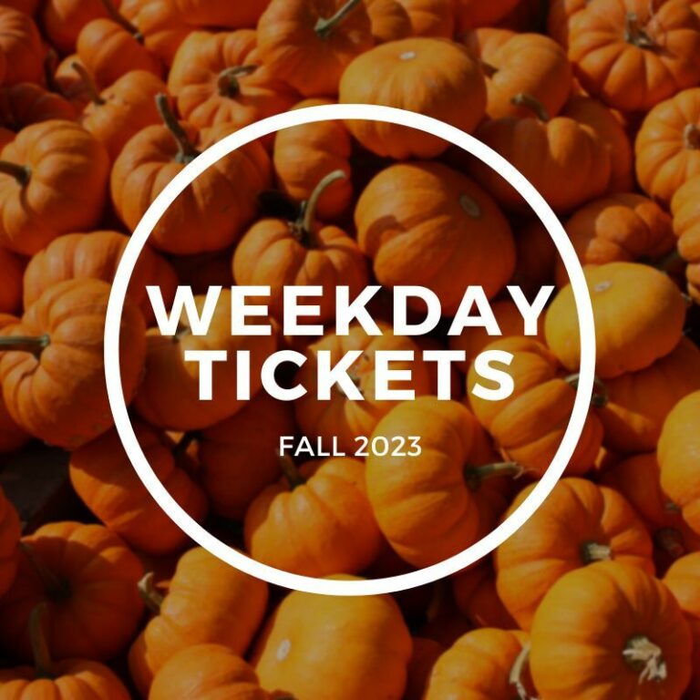 weekdays-october-26th-2023-open-9am-2pm-southern-belle-farm