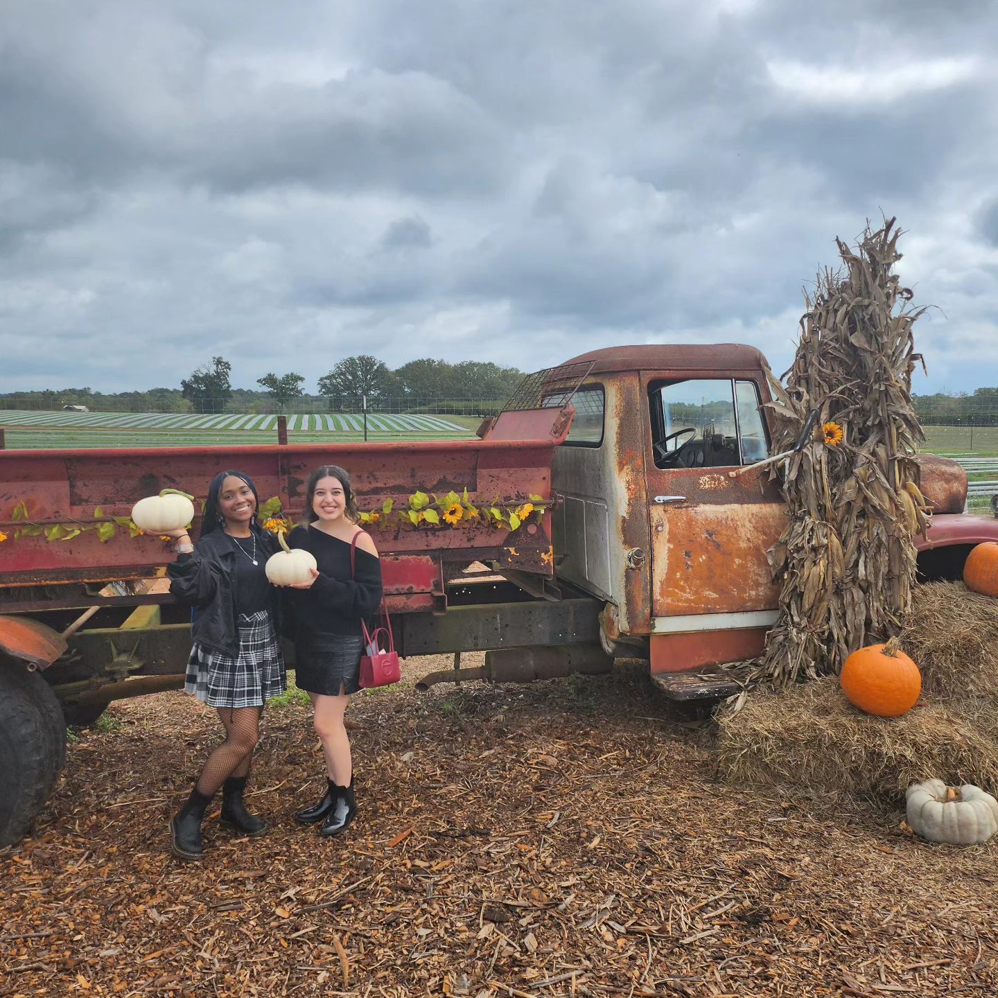 Don’t Miss Fall at Southern Belle Farm! – Southern Belle Farm