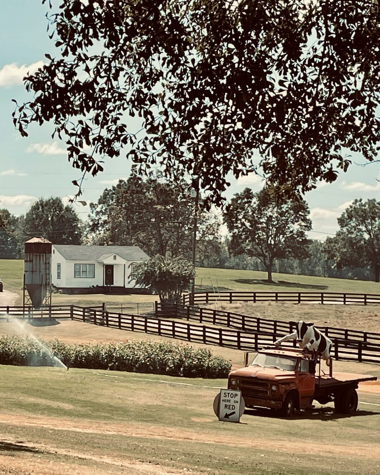 Don’t Miss Fall at Southern Belle Farm! – Southern Belle Farm