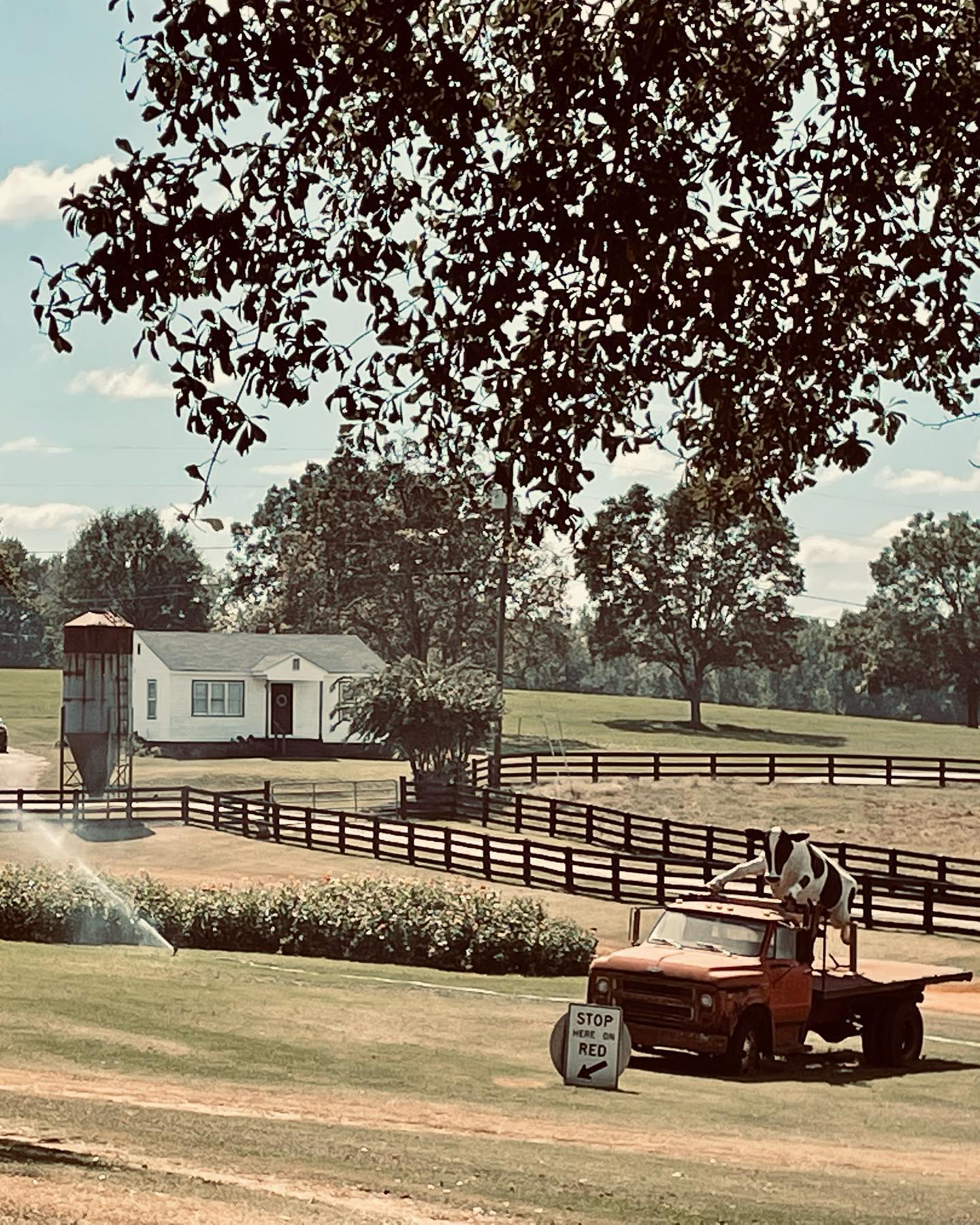 Don’t Miss Fall at Southern Belle Farm! – Southern Belle Farm