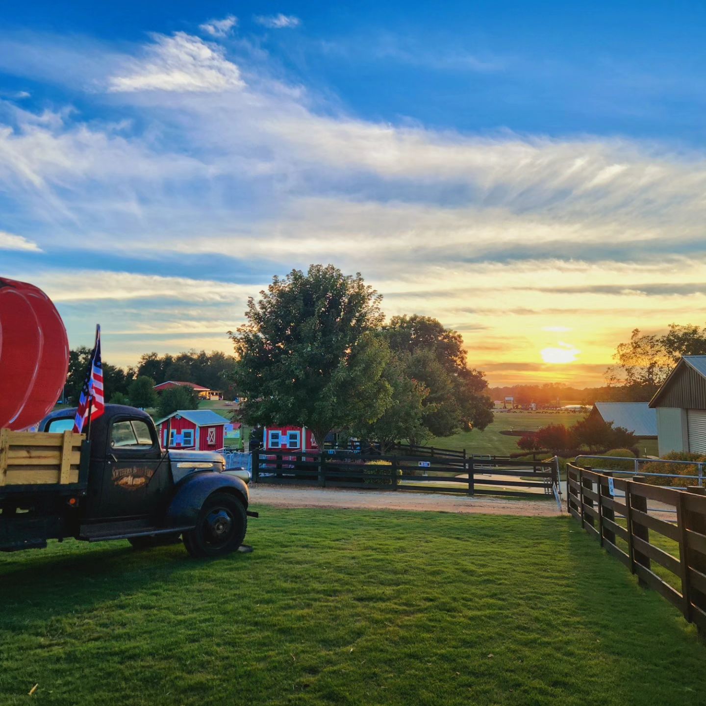 Don’t Miss Fall at Southern Belle Farm! – Southern Belle Farm