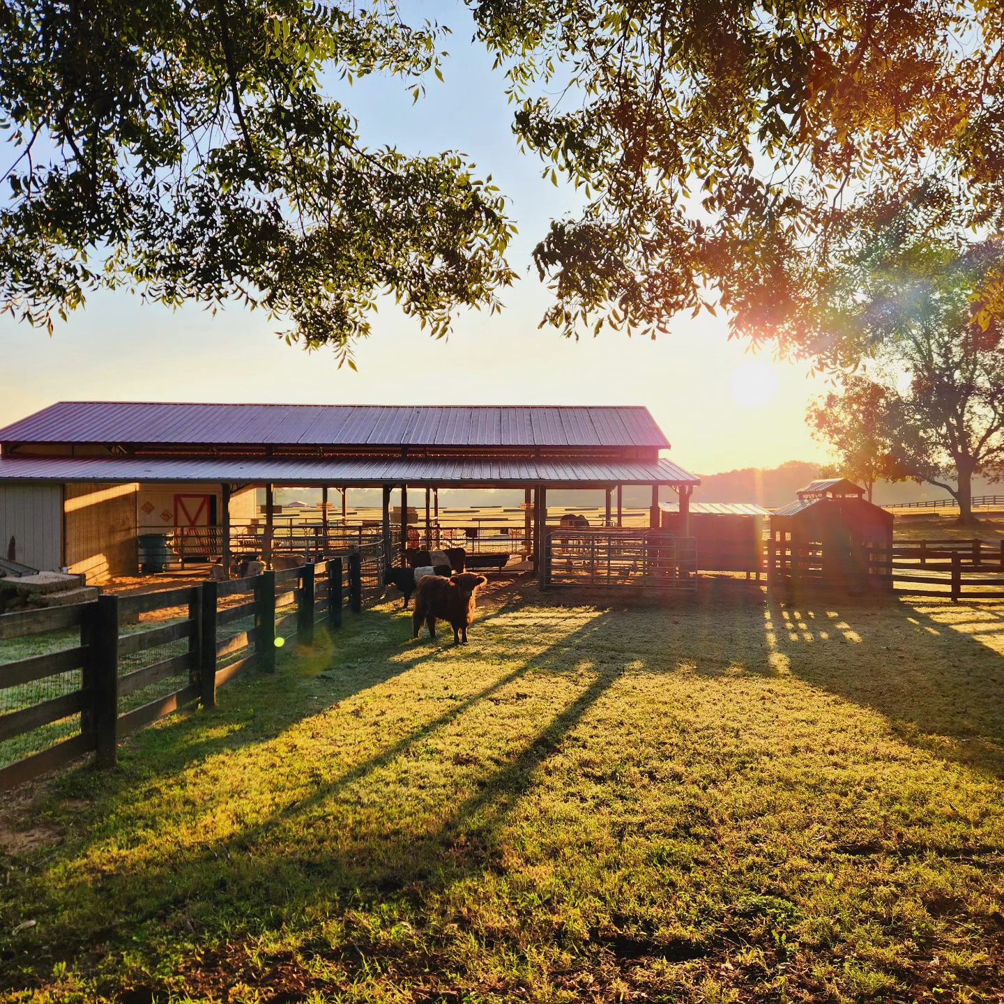 Don’t Miss Fall at Southern Belle Farm! – Southern Belle Farm