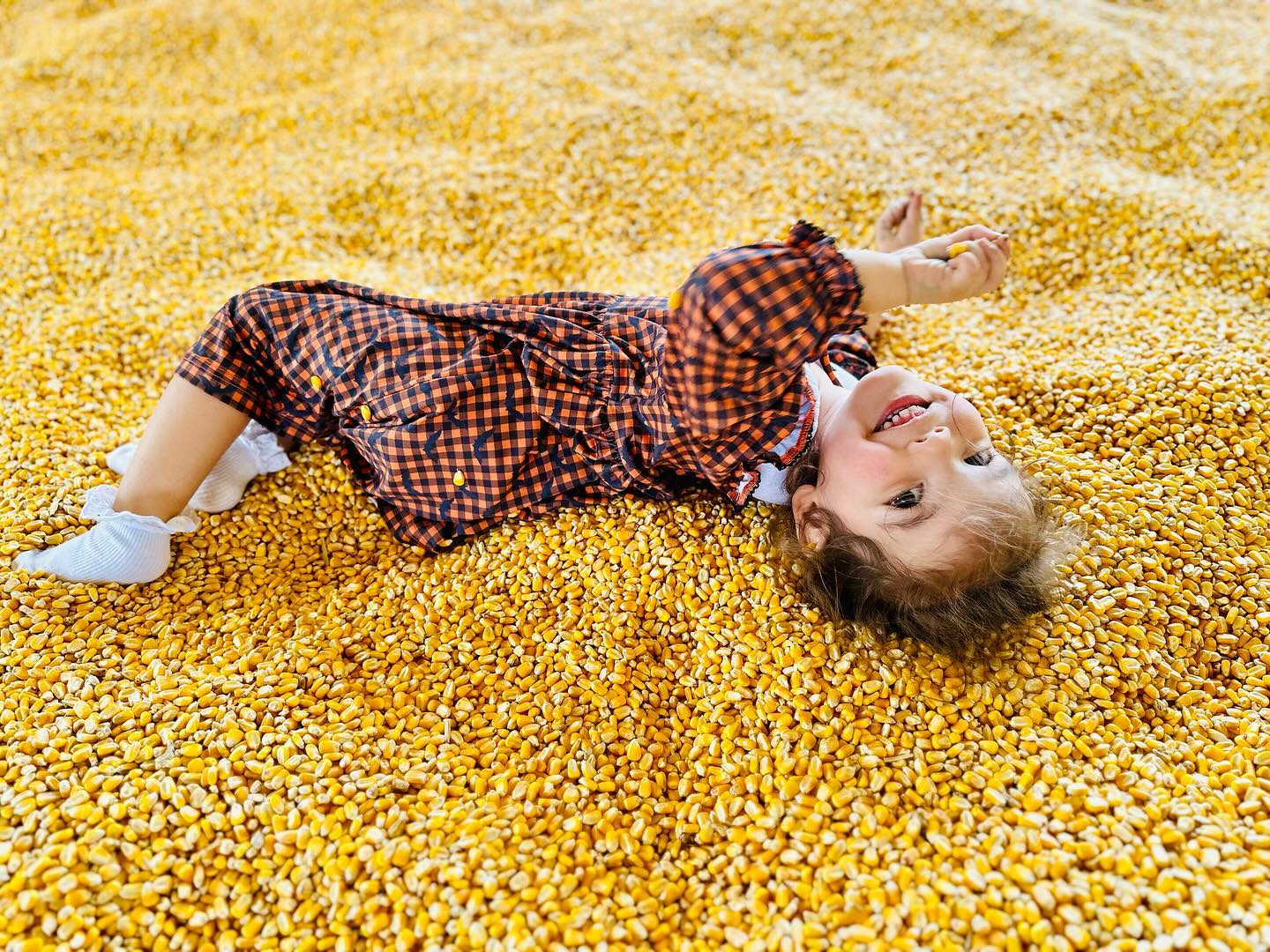 🎃Fall Into Fun at Southern Belle Farm! – Southern Belle Farm